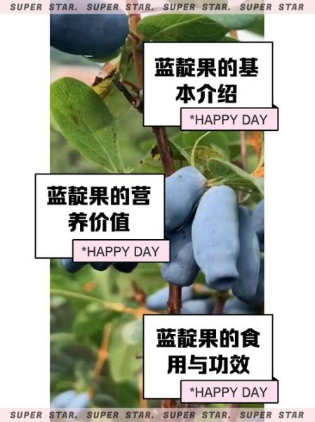 蓝靛果的功效与作用_蓝靛果怎么吃效果最好-第1张图片-山城妙识