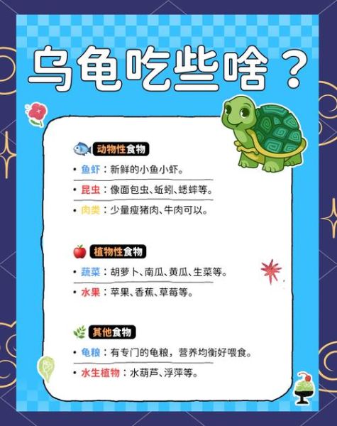 乌龟吃什么食物_怎么养乌龟-第1张图片-山城妙识