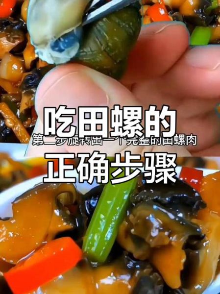 大田螺怎么吃_大田螺正确吃法图解-第3张图片-山城妙识 大田螺怎么吃_大田螺正确吃法图解-第3张图片-山城妙识