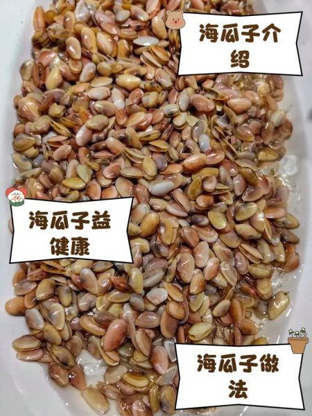 海瓜子哪里不能吃_海瓜子哪些部位不能吃-第1张图片-山城妙识 海瓜子哪里不能吃_海瓜子哪些部位不能吃-第1张图片-山城妙识