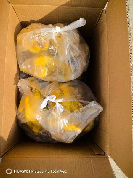 盐水鸡是哪里的特产_盐水鸡起源地-第3张图片-山城妙识