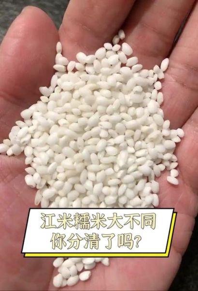 江米和糯米是一种米吗_两者区别与用途-第1张图片-山城妙识