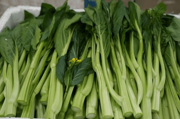 菜心别名叫什么_菜心又叫什么名字-第1张图片-山城妙识