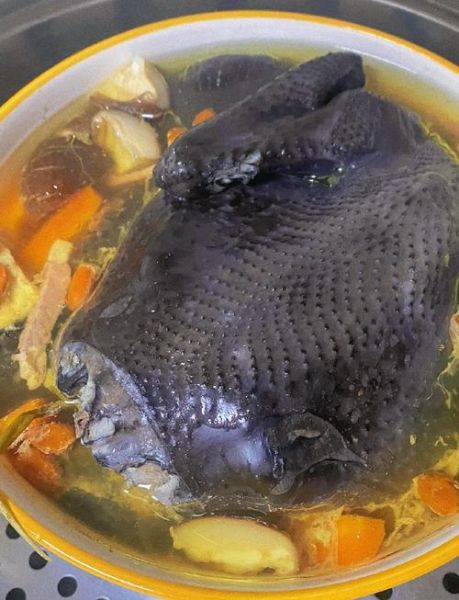 红烧乌鸡怎么做好吃_红烧乌鸡最正宗的做法-第1张图片-山城妙识