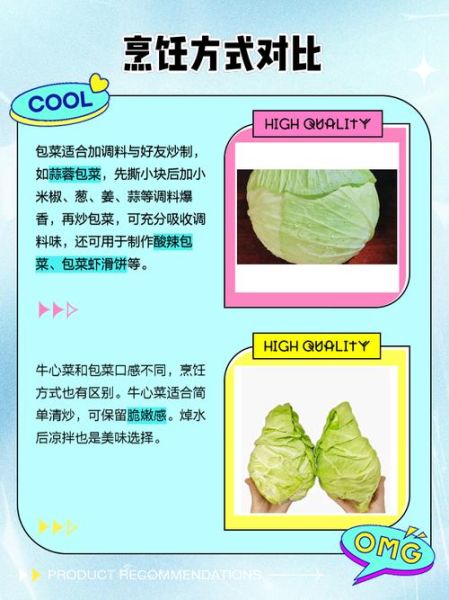牛心菜和卷心菜的区别_哪个更好吃-第1张图片-山城妙识