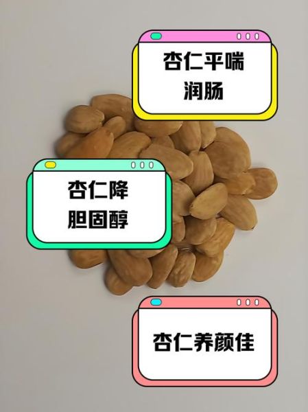 杏仁的营养价值_杏仁的功效与作用-第2张图片-山城妙识