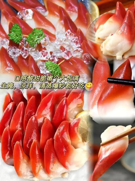 北极贝是什么_北极贝和北极贝刺身区别-第2张图片-山城妙识