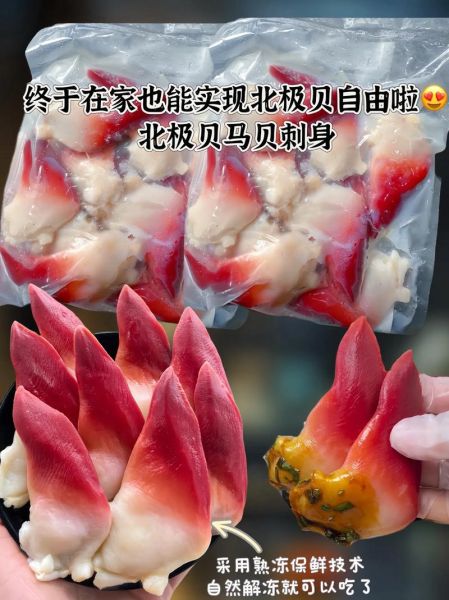 北极贝是什么_北极贝和北极贝刺身区别-第3张图片-山城妙识
