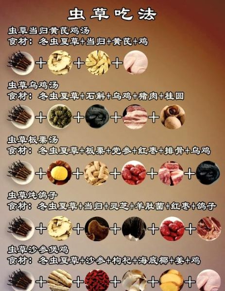 虫草怎么吃才正确_虫草一天吃几根最好-第2张图片-山城妙识