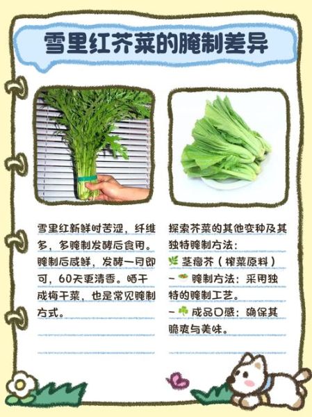 野生雪里红菜图片大全_如何辨别真假-第2张图片-山城妙识