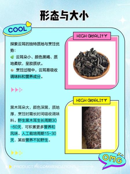 云耳和木耳哪个好_区别与功效对比-第1张图片-山城妙识