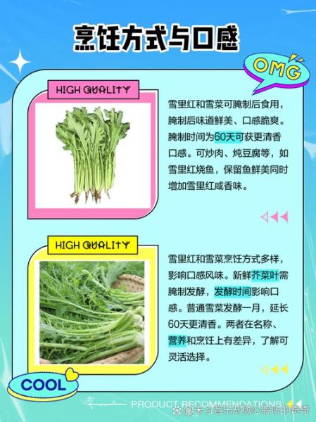 野生雪里红菜图片大全_如何辨别真假-第3张图片-山城妙识