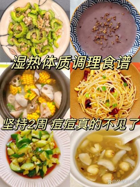 湿热体质怎么调理最快_湿热体质吃什么好-第2张图片-山城妙识