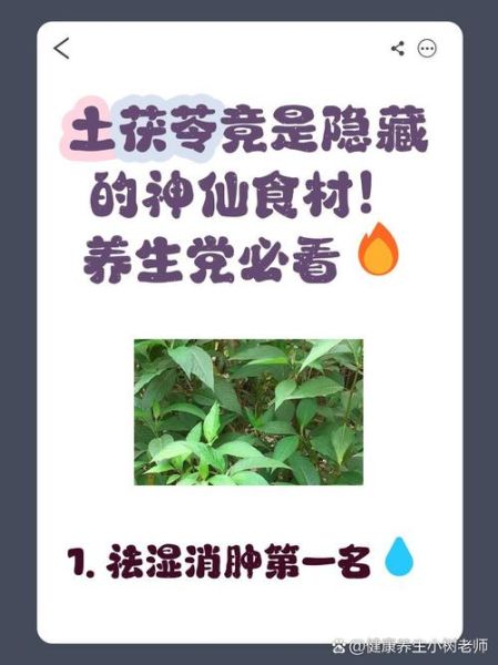 茯苓伤肝还是护肝_茯苓对肝脏的影响-第2张图片-山城妙识