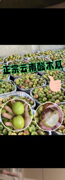 云南酸木瓜的功效与作用_酸木瓜怎么吃效果最好-第1张图片-山城妙识