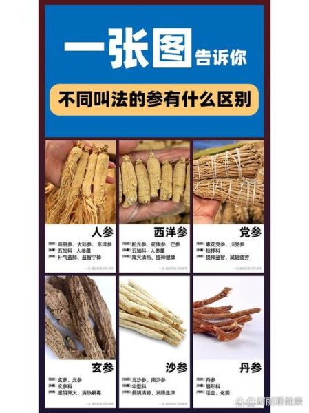 白参和人参有什么区别_功效差异与选购指南-第3张图片-山城妙识 白参和人参有什么区别_功效差异与选购指南-第3张图片-山城妙识
