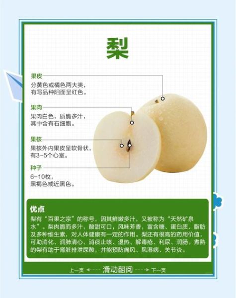 梨的营养价值_梨的功效与作用-第1张图片-山城妙识