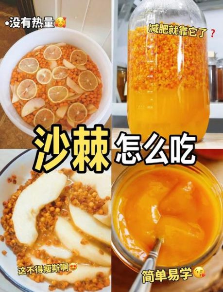 沙棘怎么吃最好_沙棘果的正确吃法-第2张图片-山城妙识