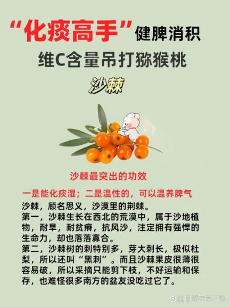 沙棘怎么吃最好_沙棘果的正确吃法-第3张图片-山城妙识