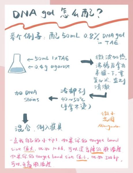 琼脂糖凝胶配制步骤_琼脂糖凝胶浓度怎么选-第1张图片-山城妙识