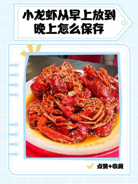 活龙虾怎么保存_活龙虾图片怎么看新鲜度-第2张图片-山城妙识 活龙虾怎么保存_活龙虾图片怎么看新鲜度-第2张图片-山城妙识