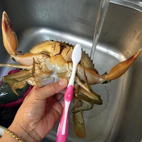 怎么杀螃蟹图解_杀螃蟹步骤视频-第2张图片-山城妙识 怎么杀螃蟹图解_杀螃蟹步骤视频-第2张图片-山城妙识