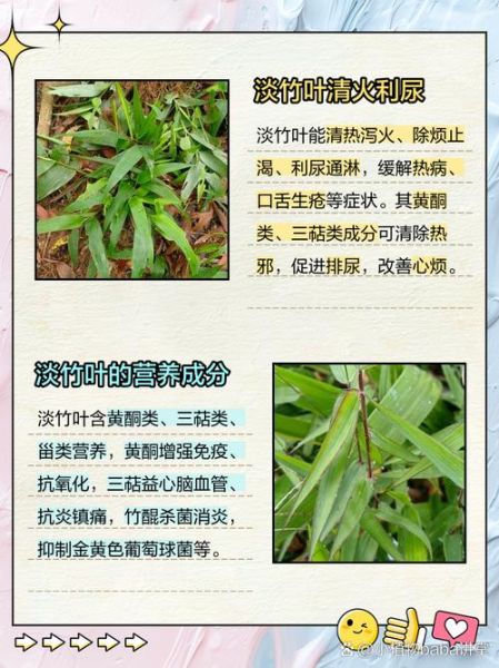 淡竹叶的功效与作用_淡竹叶主治什么病-第2张图片-山城妙识 淡竹叶的功效与作用_淡竹叶主治什么病-第2张图片-山城妙识