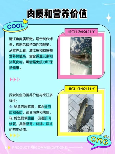 清江鱼和鲶鱼有什么区别_哪个更好吃-第2张图片-山城妙识 清江鱼和鲶鱼有什么区别_哪个更好吃-第2张图片-山城妙识