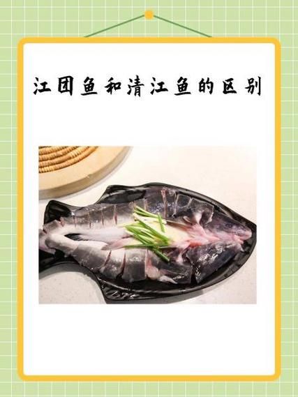 清江鱼和鲶鱼有什么区别_哪个更好吃-第3张图片-山城妙识 清江鱼和鲶鱼有什么区别_哪个更好吃-第3张图片-山城妙识