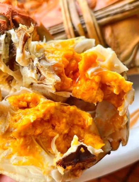 阳澄湖大闸蟹怎么做才好吃_清蒸步骤详解-第1张图片-山城妙识