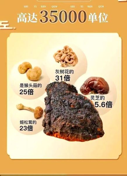 桦树茸的功效与作用_桦树茸怎么吃-第1张图片-山城妙识 桦树茸的功效与作用_桦树茸怎么吃-第1张图片-山城妙识