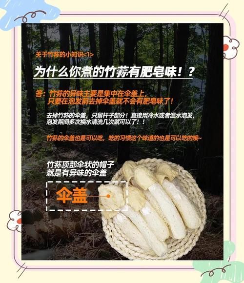 竹荪菌种怎么培植_竹荪菌种培植方法-第3张图片-山城妙识