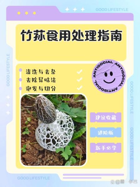 竹荪菌种怎么培植_竹荪菌种培植方法-第2张图片-山城妙识