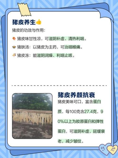 猪皮吃多了有什么坏处_猪皮副作用有哪些-第2张图片-山城妙识 猪皮吃多了有什么坏处_猪皮副作用有哪些-第2张图片-山城妙识