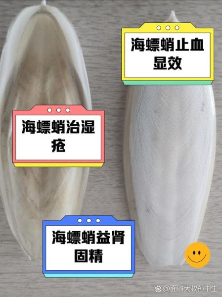 海螵蛸的功效与作用_海螵蛸主要治什么病-第2张图片-山城妙识 海螵蛸的功效与作用_海螵蛸主要治什么病-第2张图片-山城妙识