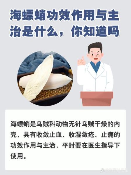 海螵蛸的功效与作用_海螵蛸主要治什么病-第1张图片-山城妙识 海螵蛸的功效与作用_海螵蛸主要治什么病-第1张图片-山城妙识