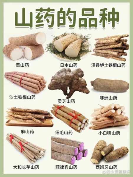 铁棍山药的功效与作用禁忌_哪些人不能吃-第1张图片-山城妙识