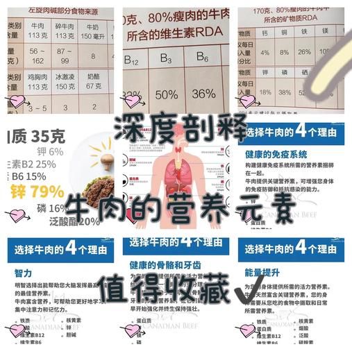 牛肉对身体有什么好处_健身增肌必吃吗-第2张图片-山城妙识