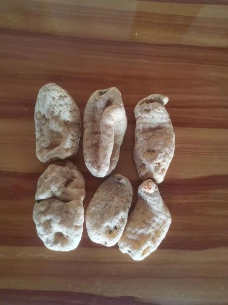 天麻多少钱一斤_天麻价格受哪些因素影响-第1张图片-山城妙识