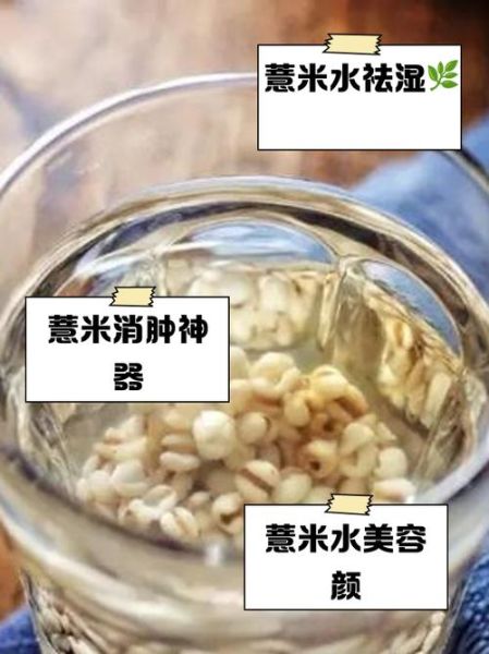 薏米可以直接泡水喝吗_薏米泡水正确方法-第1张图片-山城妙识