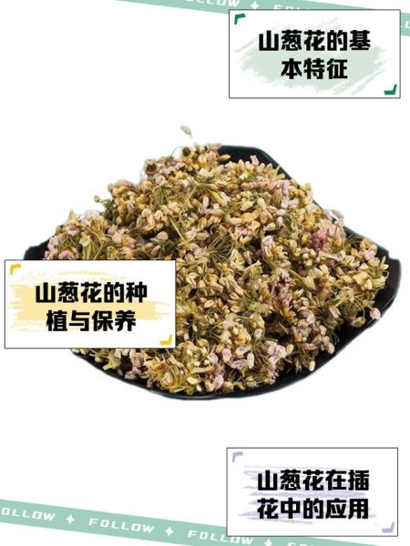 山葱花怎么吃_山葱花的做法大全-第1张图片-山城妙识