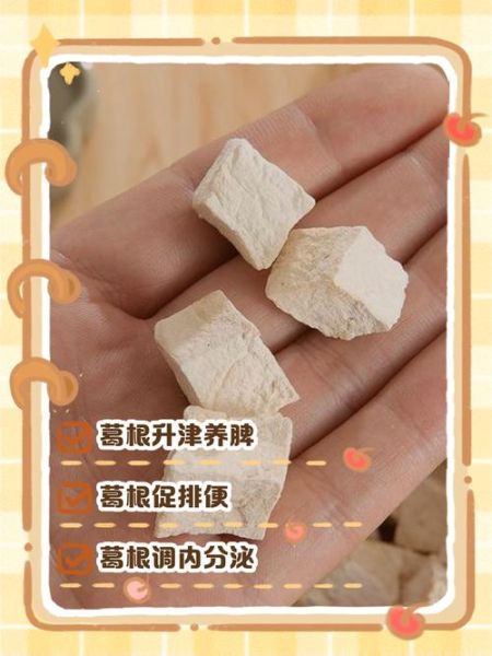 女人喝葛根泡水有什么好处_葛根泡水喝的正确方法-第3张图片-山城妙识