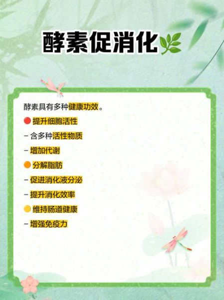 酵素的作用与功效_酵素真的能减肥吗-第1张图片-山城妙识 酵素的作用与功效_酵素真的能减肥吗-第1张图片-山城妙识