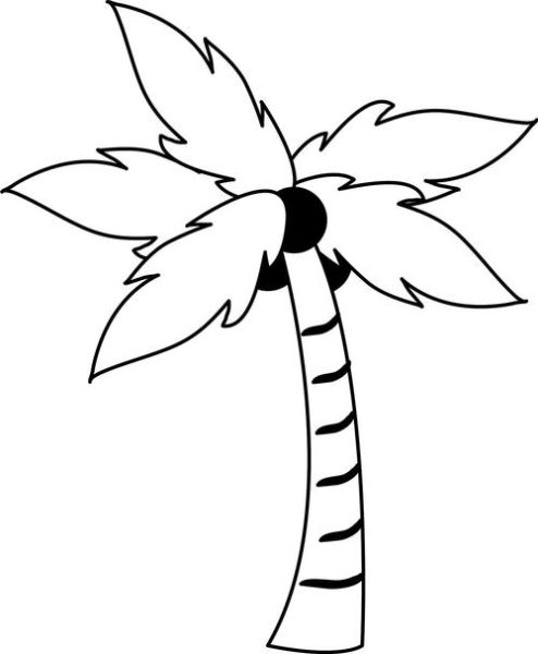 椰子树怎么画_椰子树简笔画步骤-第3张图片-山城妙识