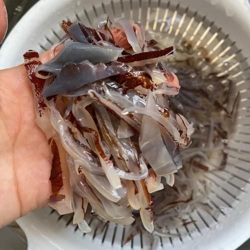 海蜇皮是水母吗_海蜇皮和水母的区别-第3张图片-山城妙识 海蜇皮是水母吗_海蜇皮和水母的区别-第3张图片-山城妙识