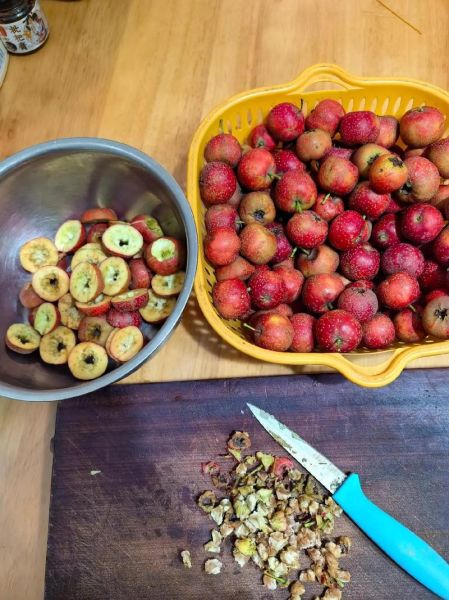 山楂酱怎么做_山楂酱做法视频-第3张图片-山城妙识 山楂酱怎么做_山楂酱做法视频-第3张图片-山城妙识