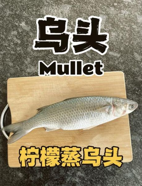 乌头鱼什么人不能吃_孕妇能吃吗-第2张图片-山城妙识