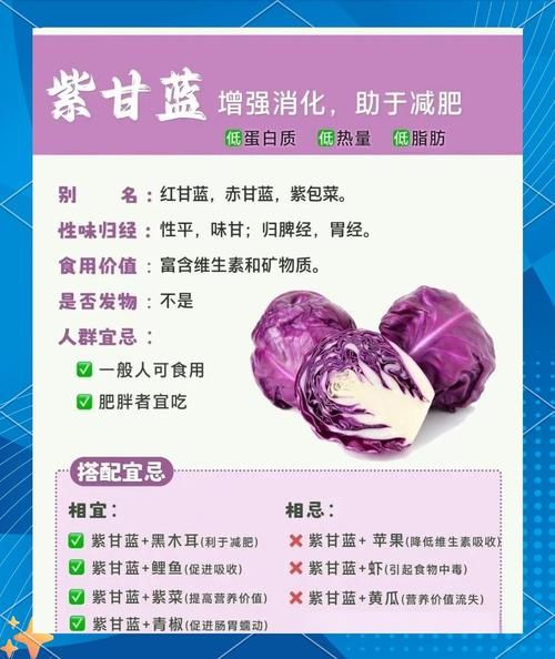 紫甘蓝榨汁的功效_紫甘蓝榨汁能减肥吗-第3张图片-山城妙识
