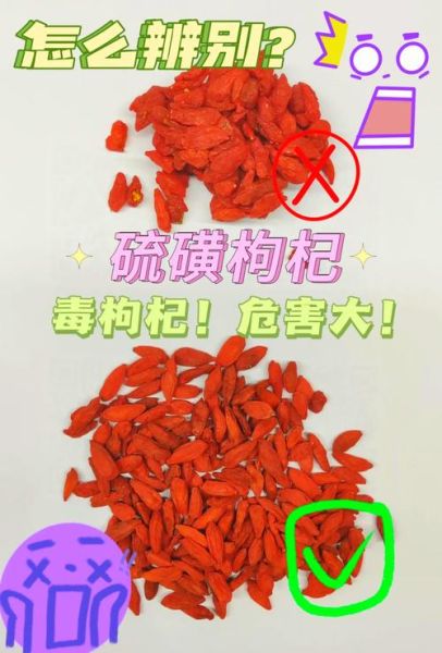 枸杞图片大全大图_枸杞怎么挑选-第1张图片-山城妙识 枸杞图片大全大图_枸杞怎么挑选-第1张图片-山城妙识