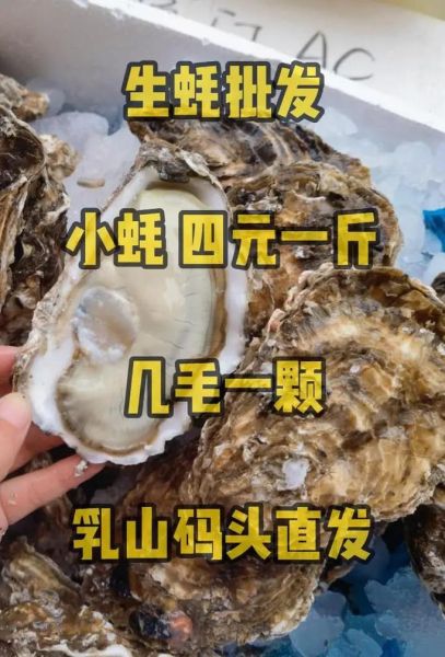 生蚝多少钱一斤_生蚝批发价格行情-第1张图片-山城妙识 生蚝多少钱一斤_生蚝批发价格行情-第1张图片-山城妙识